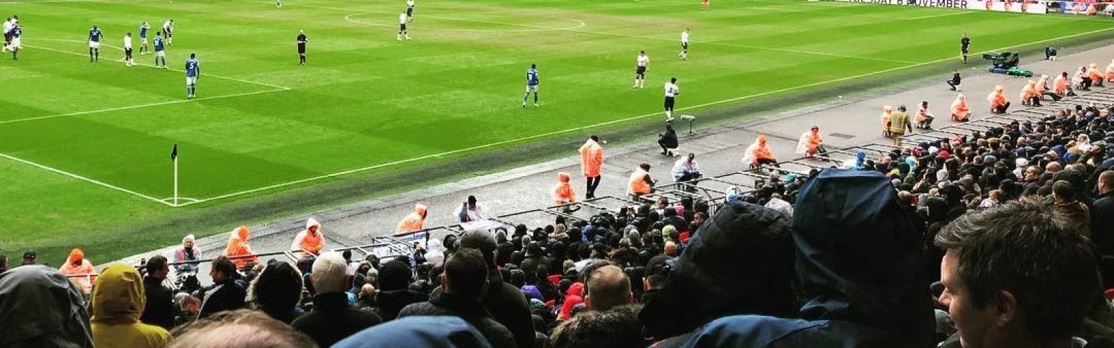 Strange Times Indeed – The Fighting Cock